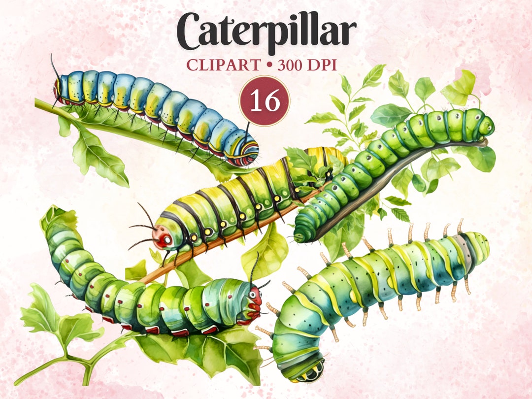 Caterpillar Clipart, Caterpillar Png, Insect Clipart, Silhouette ...