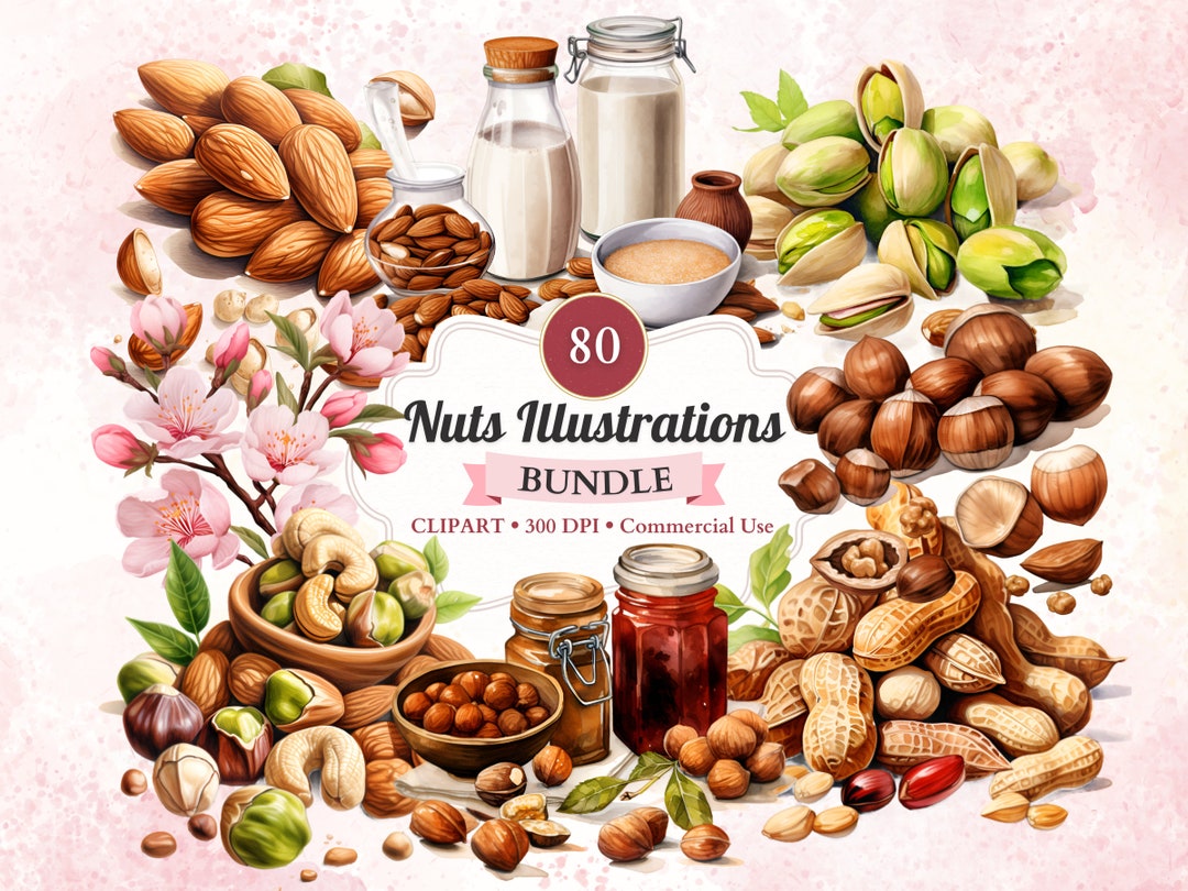Nuts Illustrations Clipart Bundle, Set, Nut Clipart, Peanut, Hazelnut ...