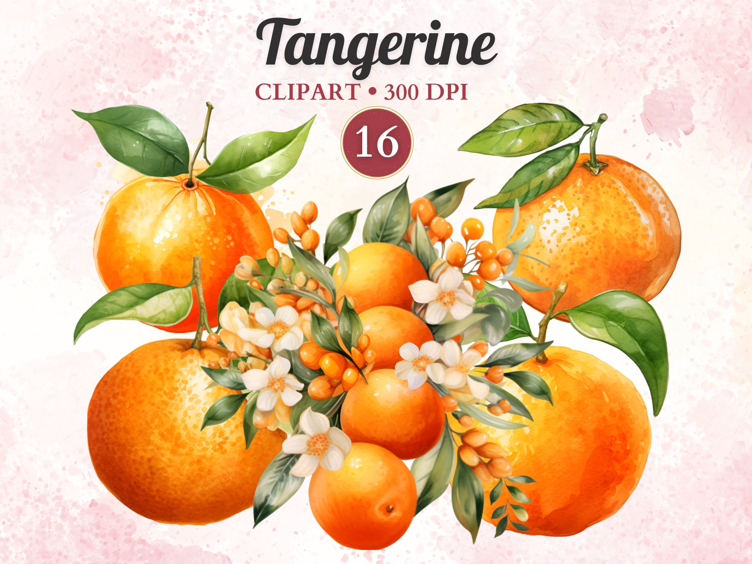 Tangerine Clipart, Mandarin Clipart, Citrus, Clementine Fruit ...