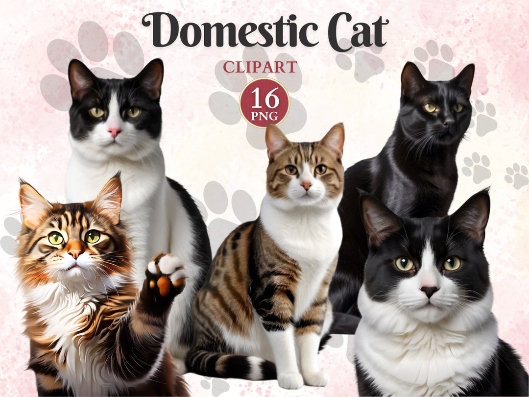 Domestic Cat Clipart, Domestic Animal, Cute Cat Drawing, Feline Clipart ...