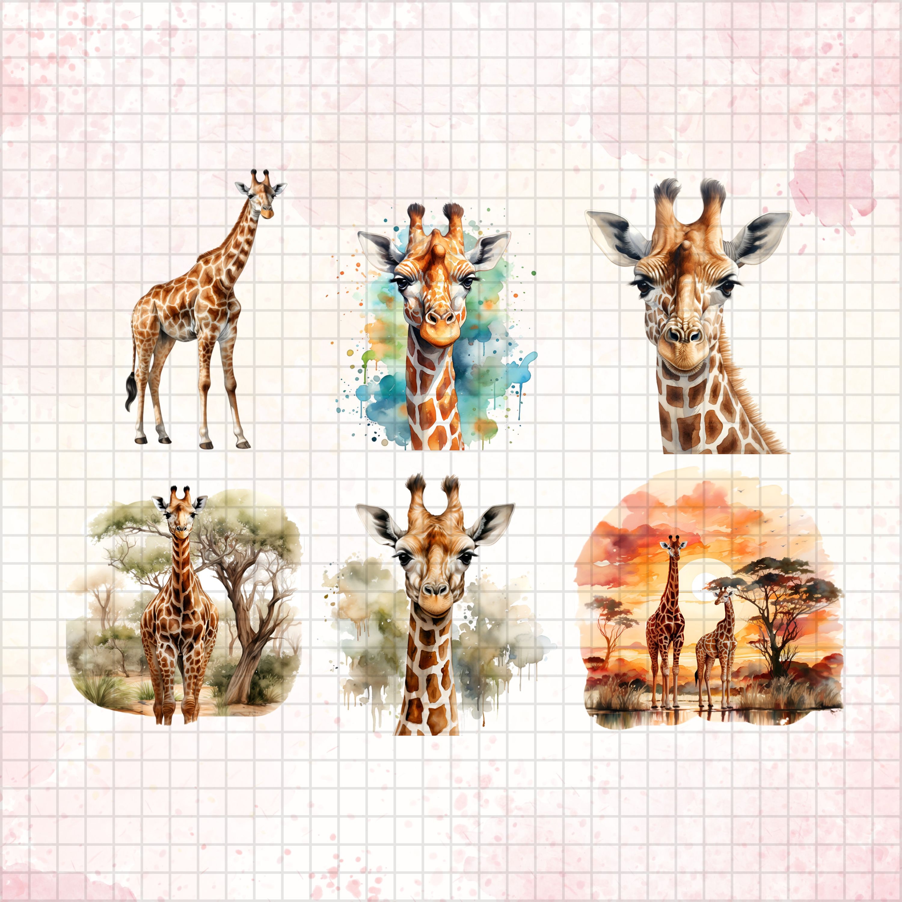 Giraffe Clipart, Watercolor Safari Clipart, Giraffe Png, Safari Animals ...