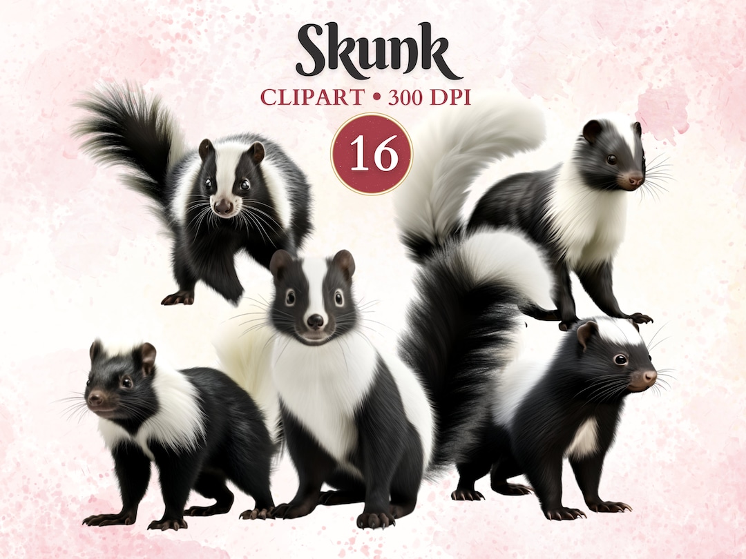 Skunk Clipart, Wild Animals, Skunk Png, Wildlife Clipart, Forest Png ...