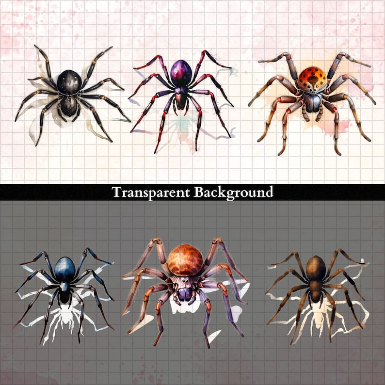 Spider Clipart, Spider Png, Tarantulas, Silhouette, Entomology, Animal ...