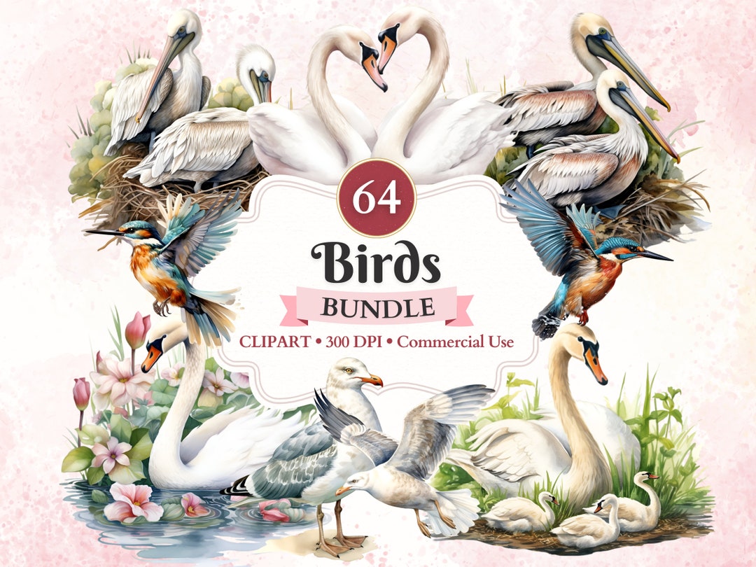 Birds Clipart Bundle, Bird Png, Bird Silhouette, Bird Vector, Nature ...