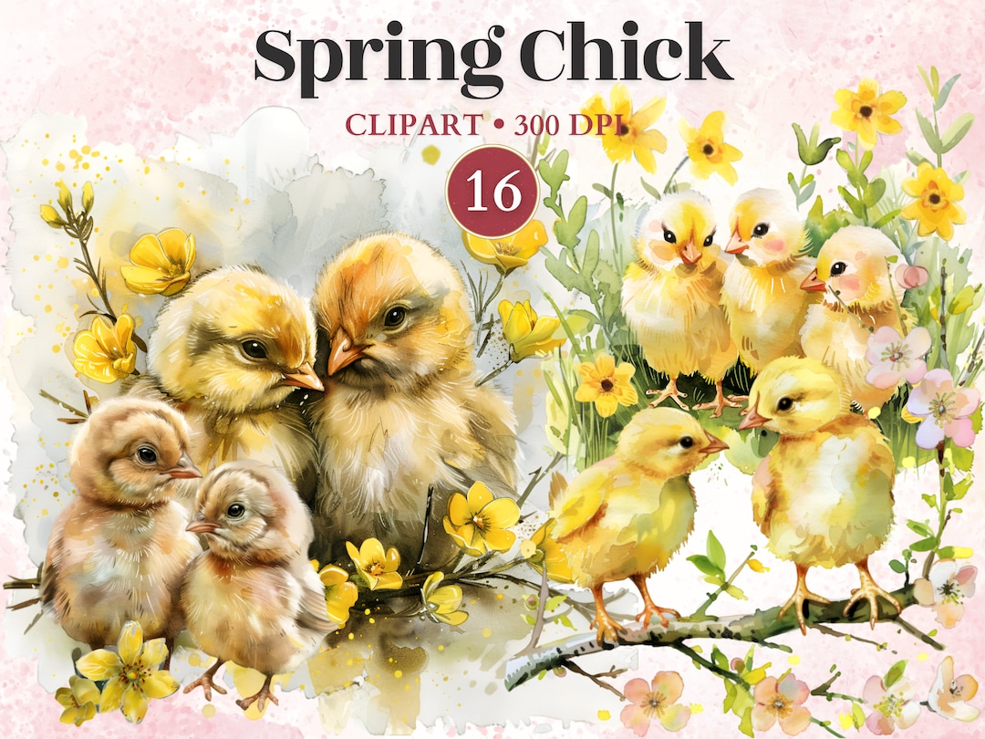 Spring Chick Clipart, Chick Clipart, Spring Sublimation, Springtime ...