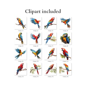 Macaw Clipart, Parrot Png, Tropical Bird, Jungle Clip Art, Forest ...