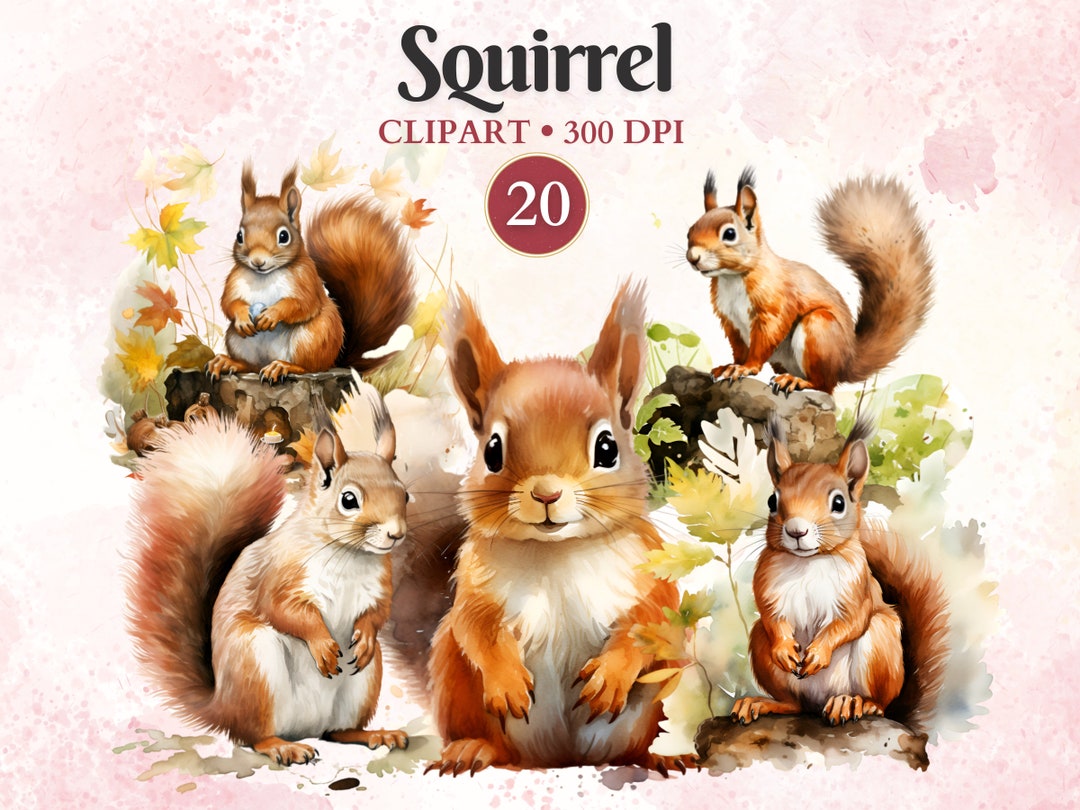 Squirrel Clipart, Squirrel Png, Watercolor, Woodland Animals, Forest ...