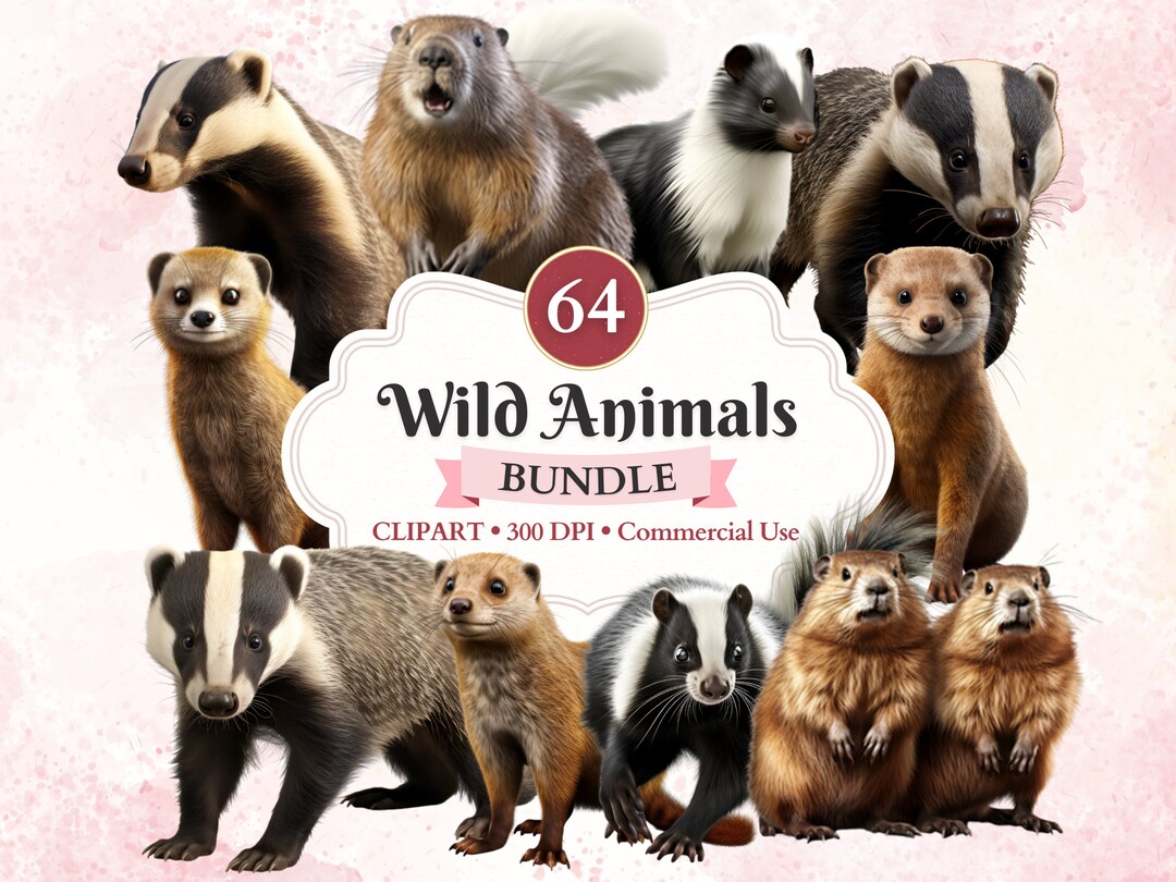 Wild Animals Clipart Bundle, Mongoose, Skunk Png, Honey Badger, Beaver ...