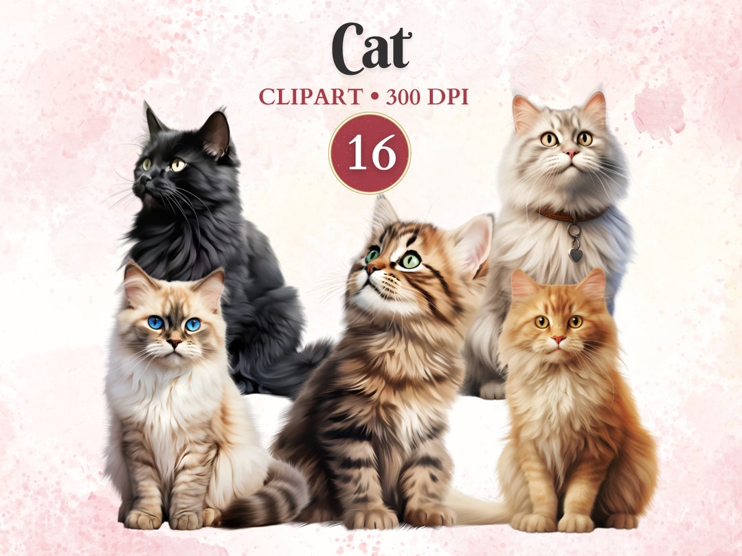 Cat Clipart, Cat Vector Art, Domestic Animals, Pet Graphics, Pet ...