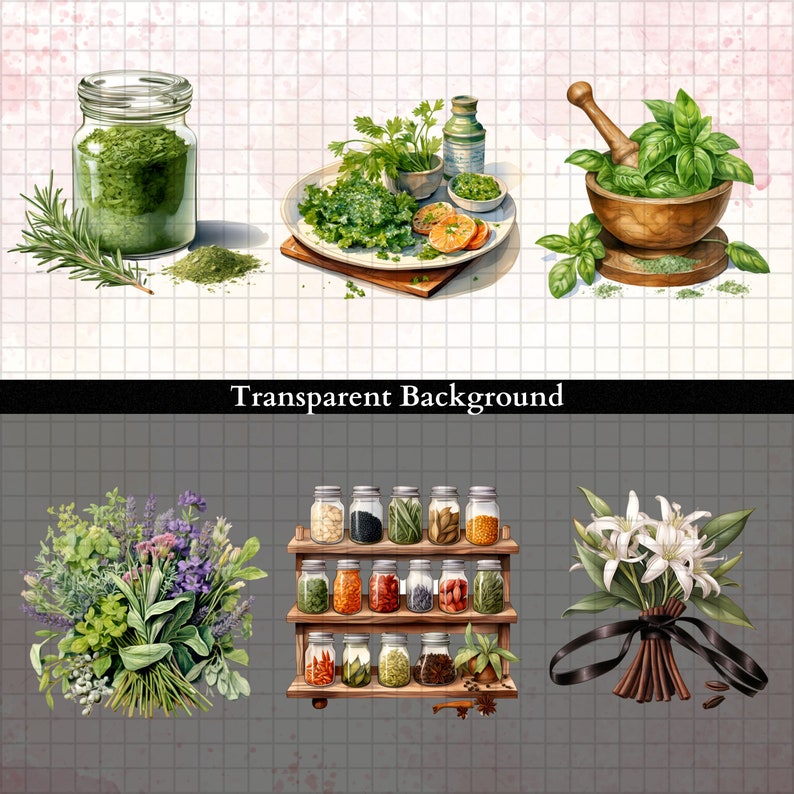 Herbs and Spices Clipart, Bundle, Set, Watercolor, Herbs Png, Spice ...