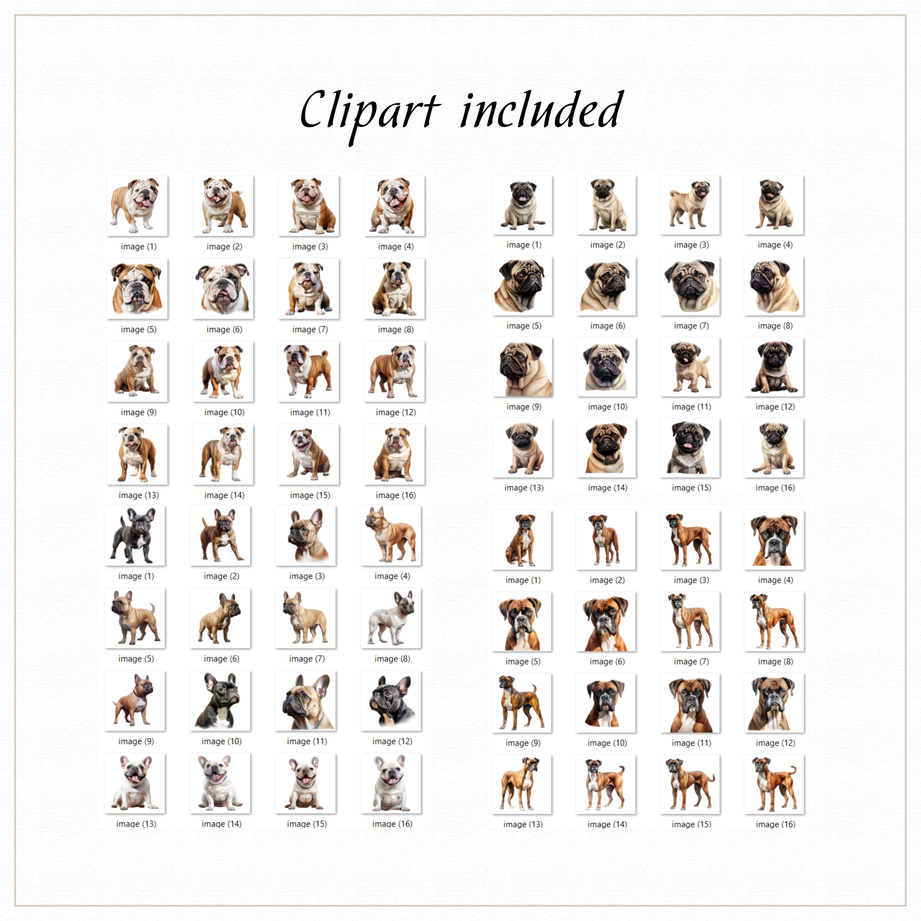 Dogs Breeds Clipart Bundle, English Bulldog Png, Frenchie Png, Boxer ...