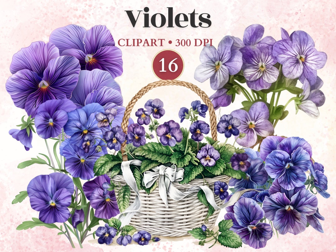 Violets Clipart, Violet Flower Clipart, Spring Season, Floral Elements ...