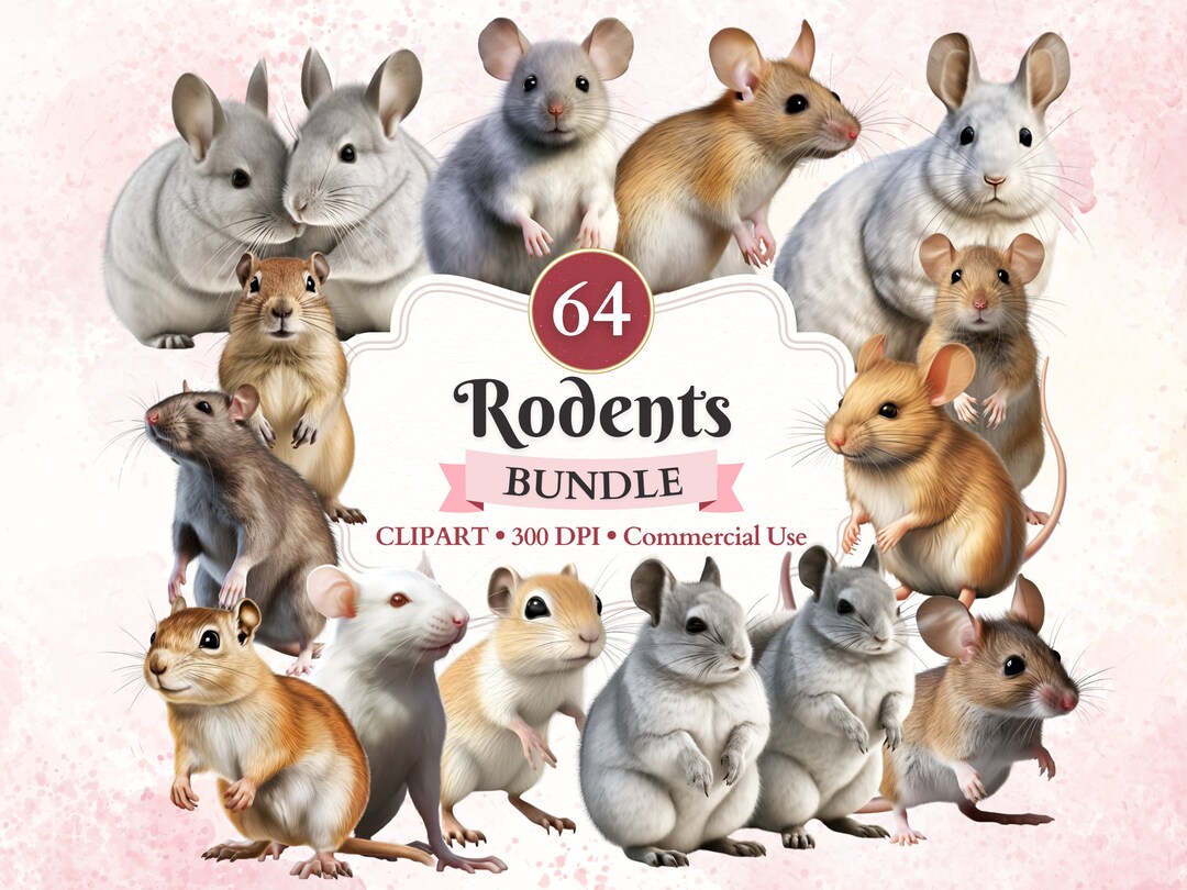 Rodents Clipart Bundle, Rodent Graphics, Gerbil Clipart, Rat Png, Mouse ...