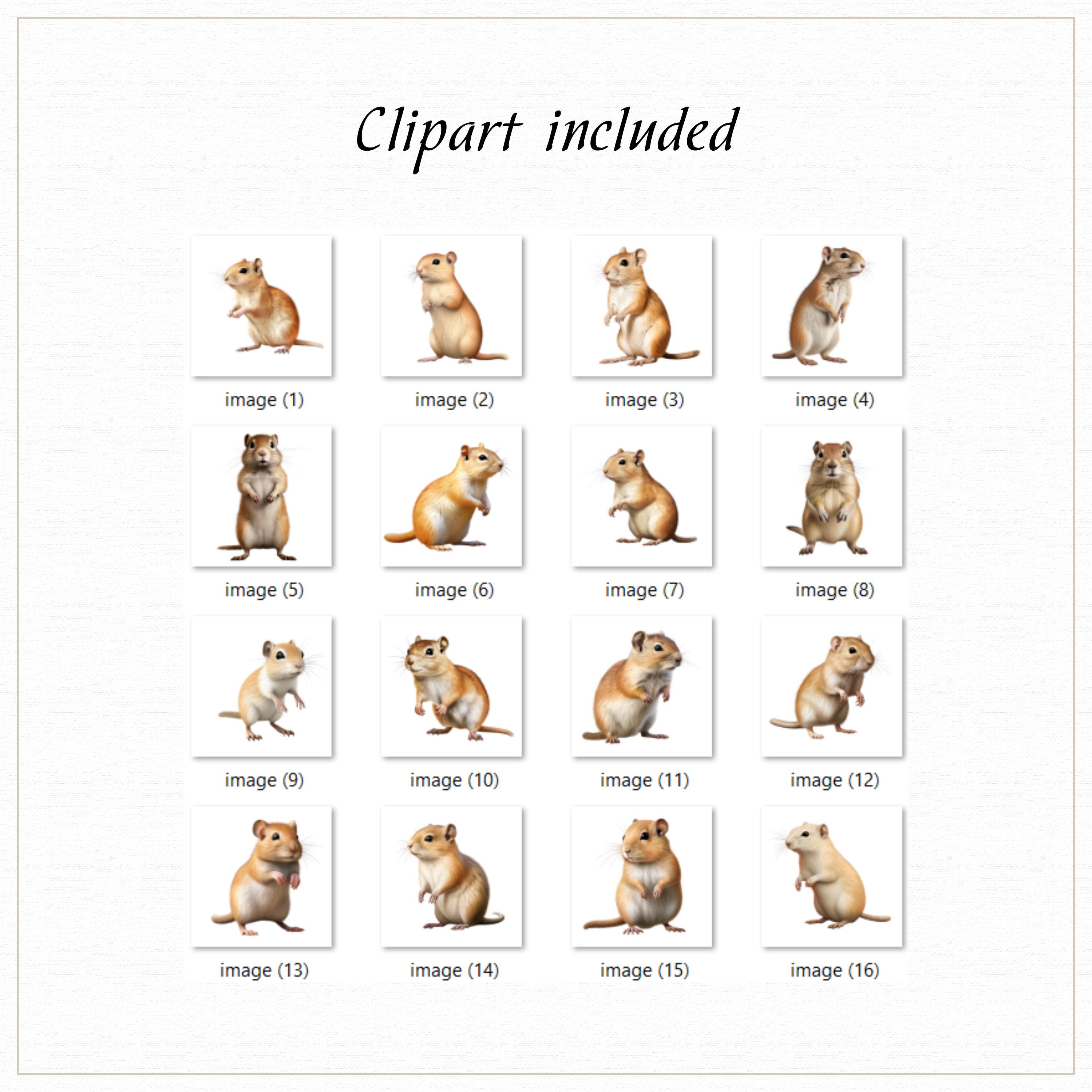 Gerbil Clipart, Domestic Animals, Gerbil, Rodent Clipart, Rodent ...