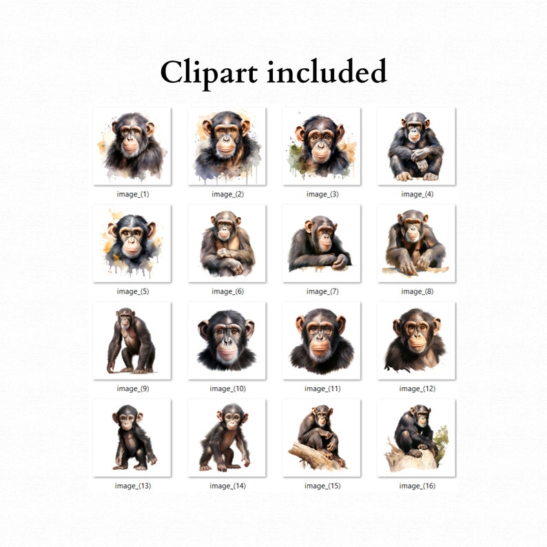 Chimpanzee Clipart, Chimpanzee Png, Monkey Png, Zoo Animals Clipart ...