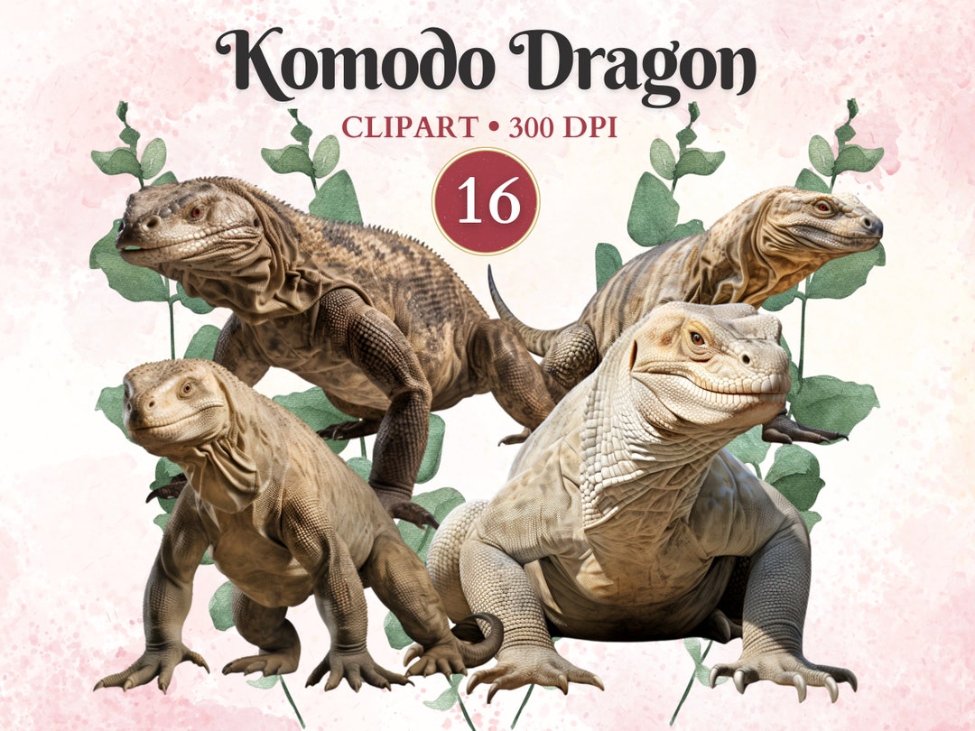 Komodo Dragon Clipart, Australian Animals, Lizard Clipart, Vector ...