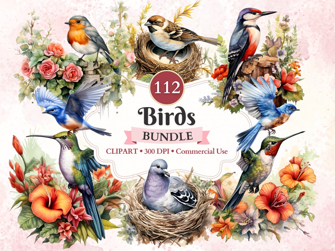 Birds Clipart Bundle, Bird Png, Bird Silhouette, Bird Vector, Nature ...