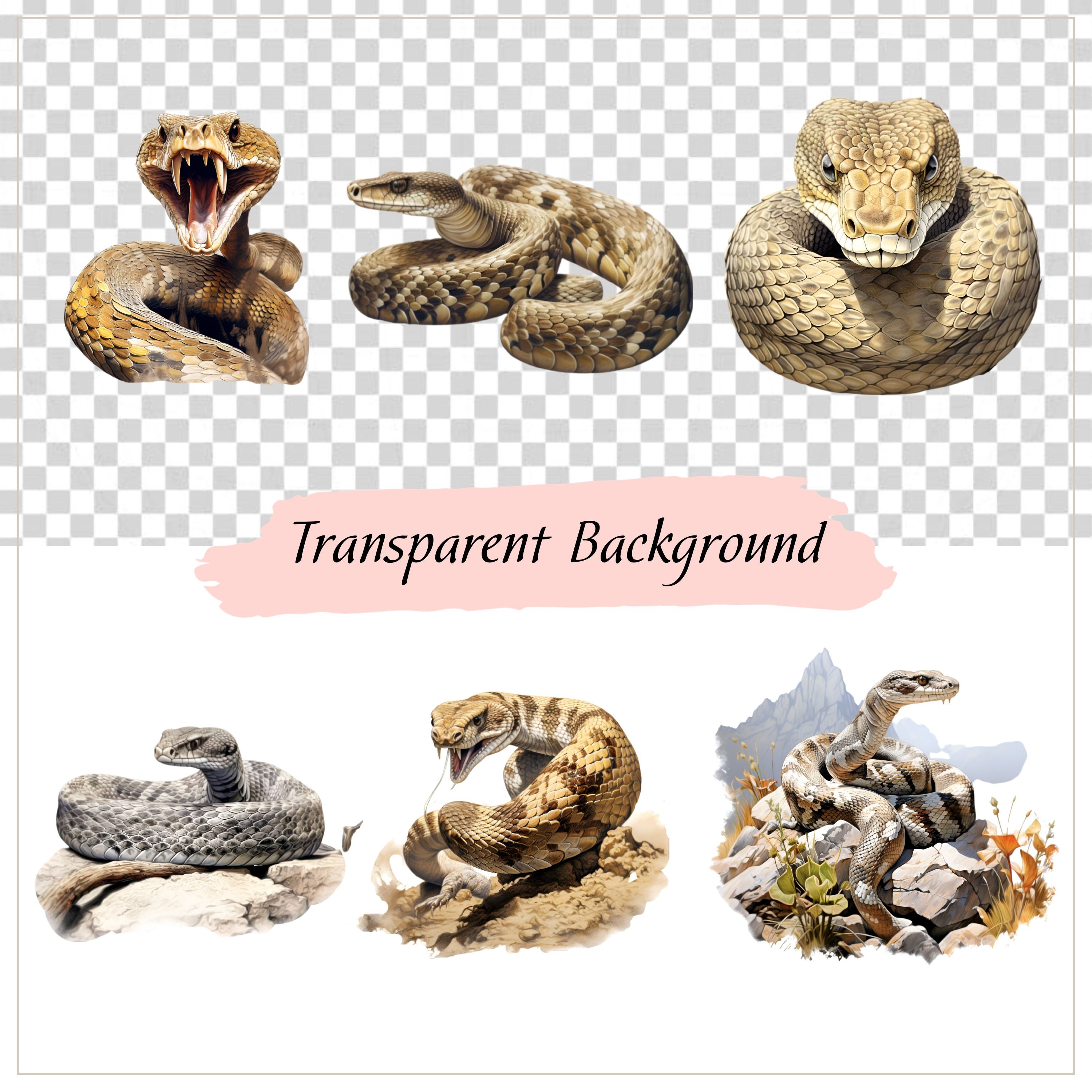 Viper Clipart, Viper Png, Snake Clipart, Snake Png, Serpent Silhouette ...