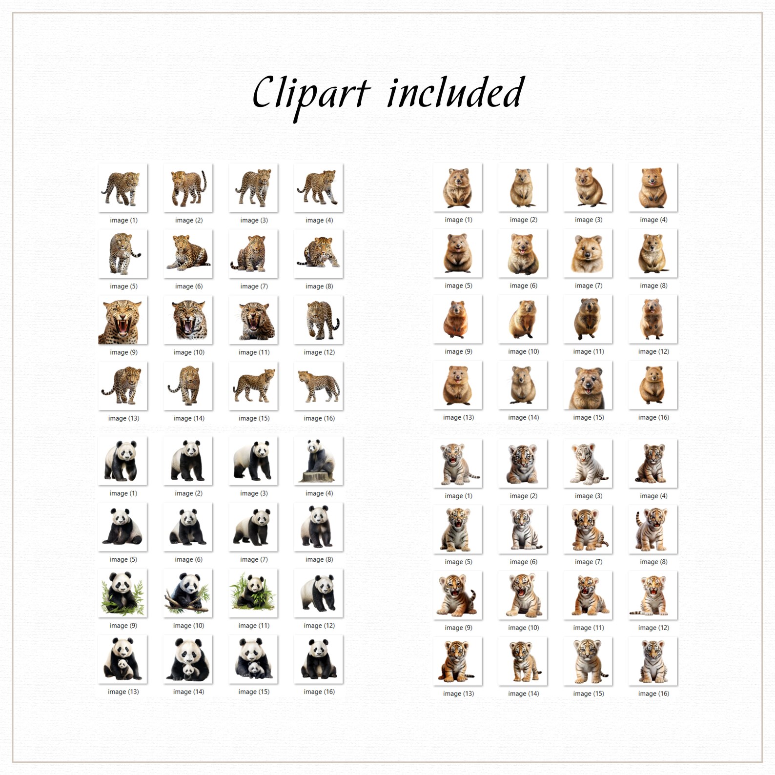 Wild Animals Clipart Bundle, Leopard Clipart, Quokka Png, Panda ...