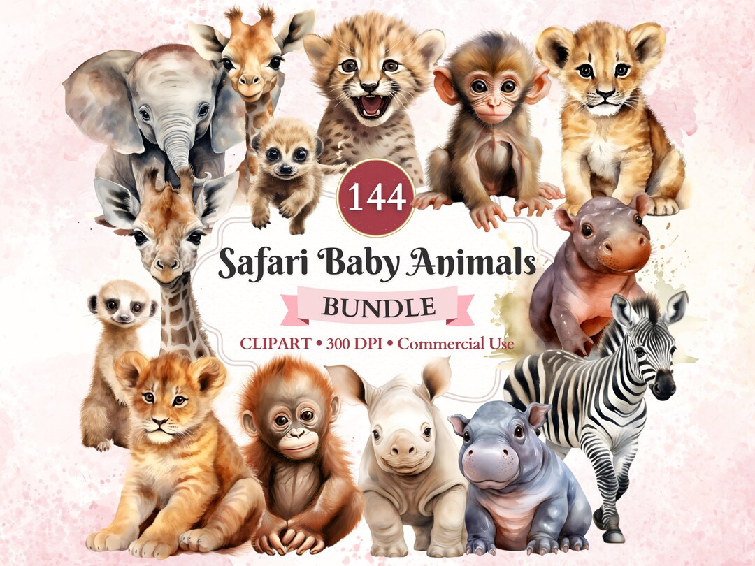 Safari Baby Animals Clipart Bundle, Lion, Zebra, Elephant, Giraffe ...