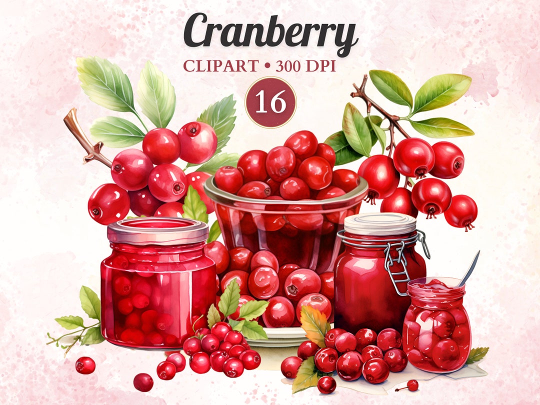 Cranberry Clipart, Berries Image, Thanksgiving Dinner, Watercolor Fruit ...