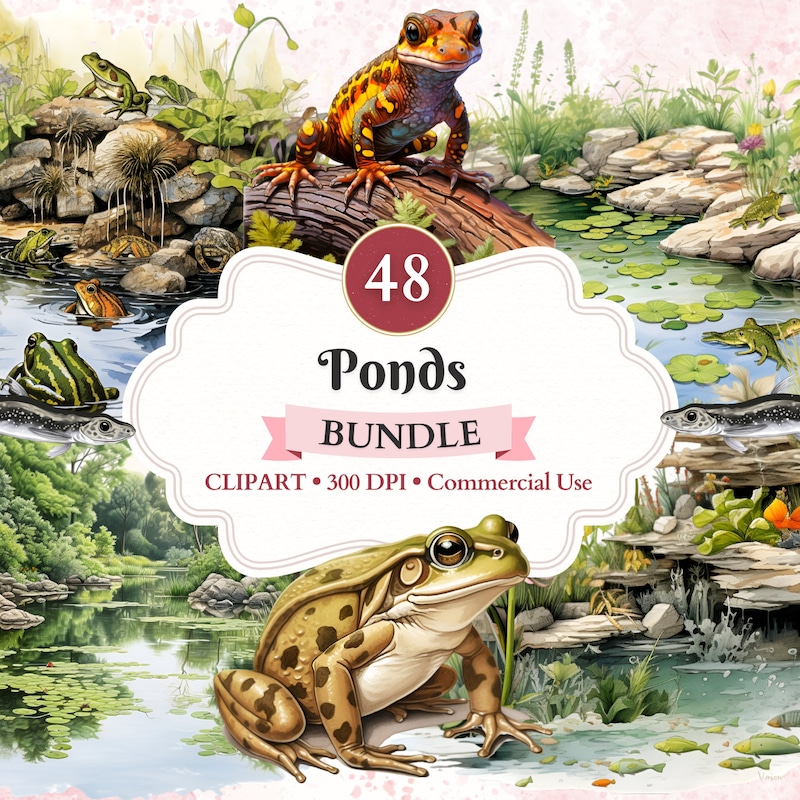 Pond Clipart - Etsy