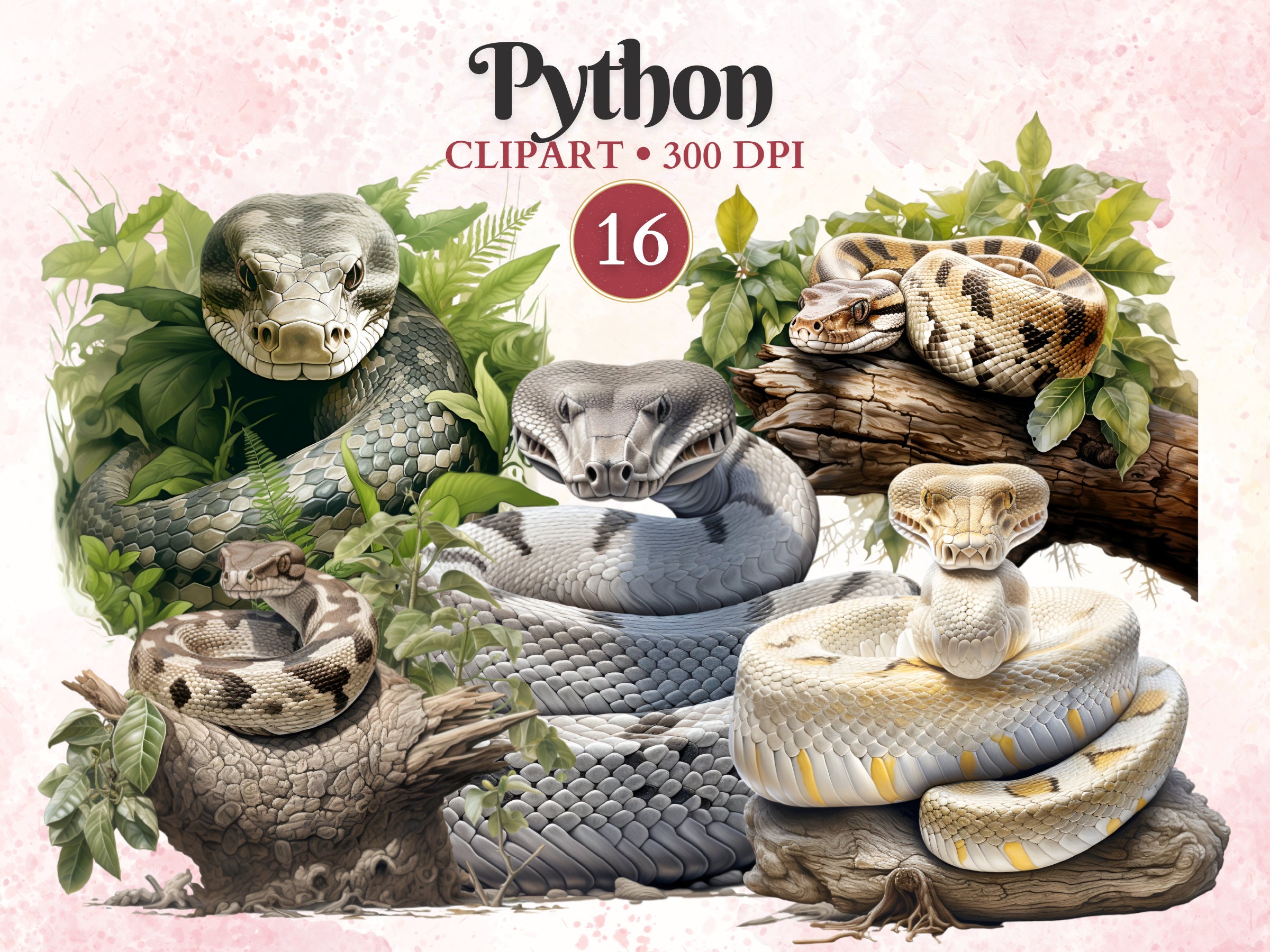 Python Clipart, Python Png, Snake Clipart, Snake Png, Serpent ...