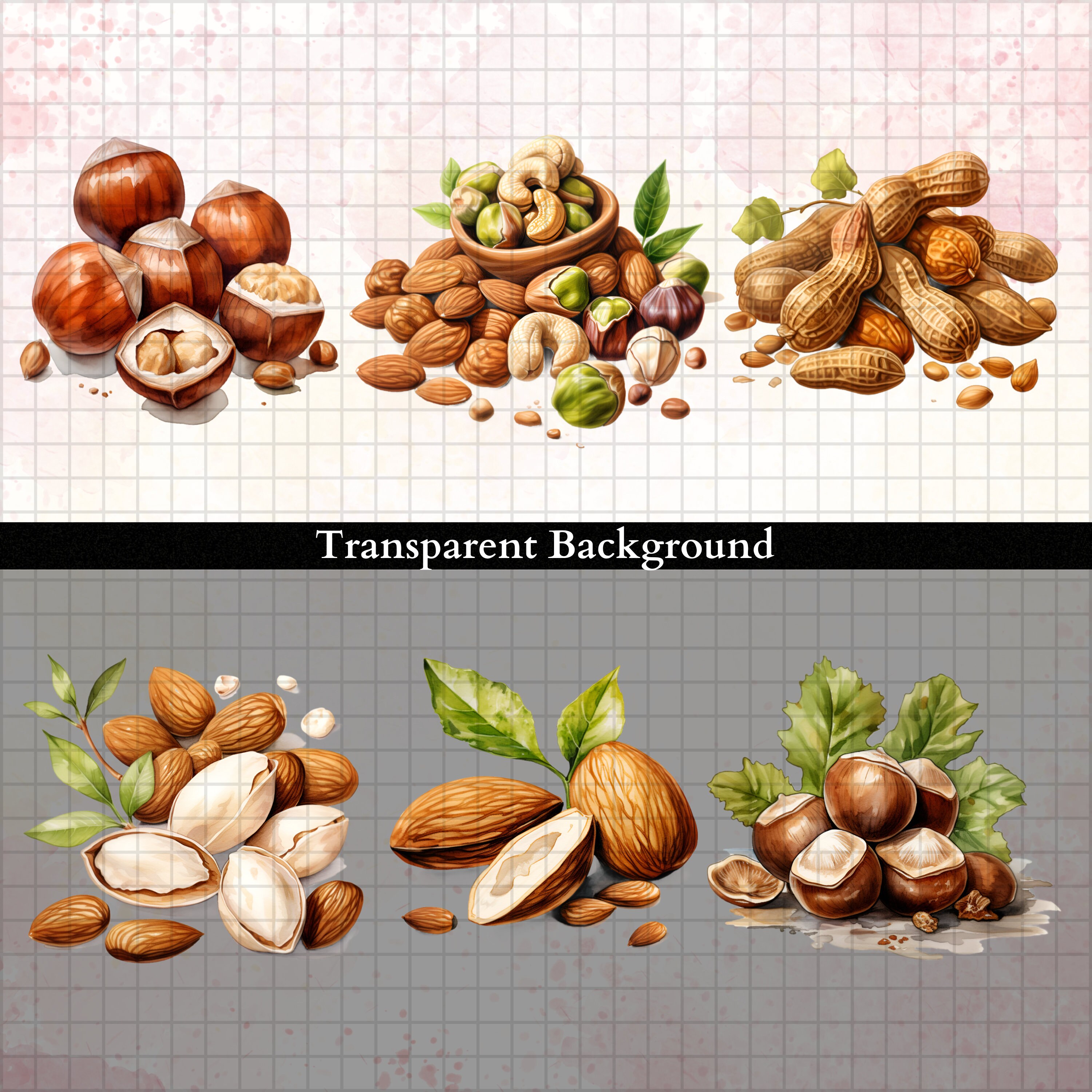 Nuts Illustrations Clipart Bundle, Set, Nut Clipart, Peanut, Hazelnut ...