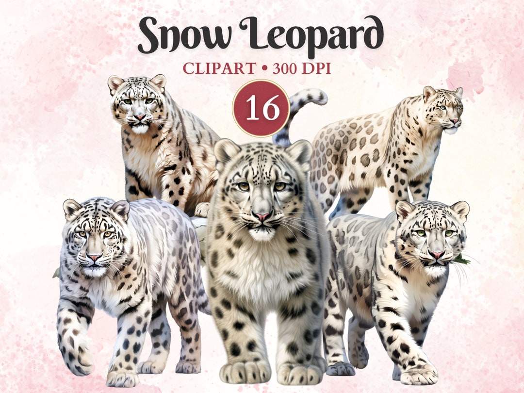 Snow Leopard Clipart, Snow Leopard Artwork, Winter Animals Clipart ...