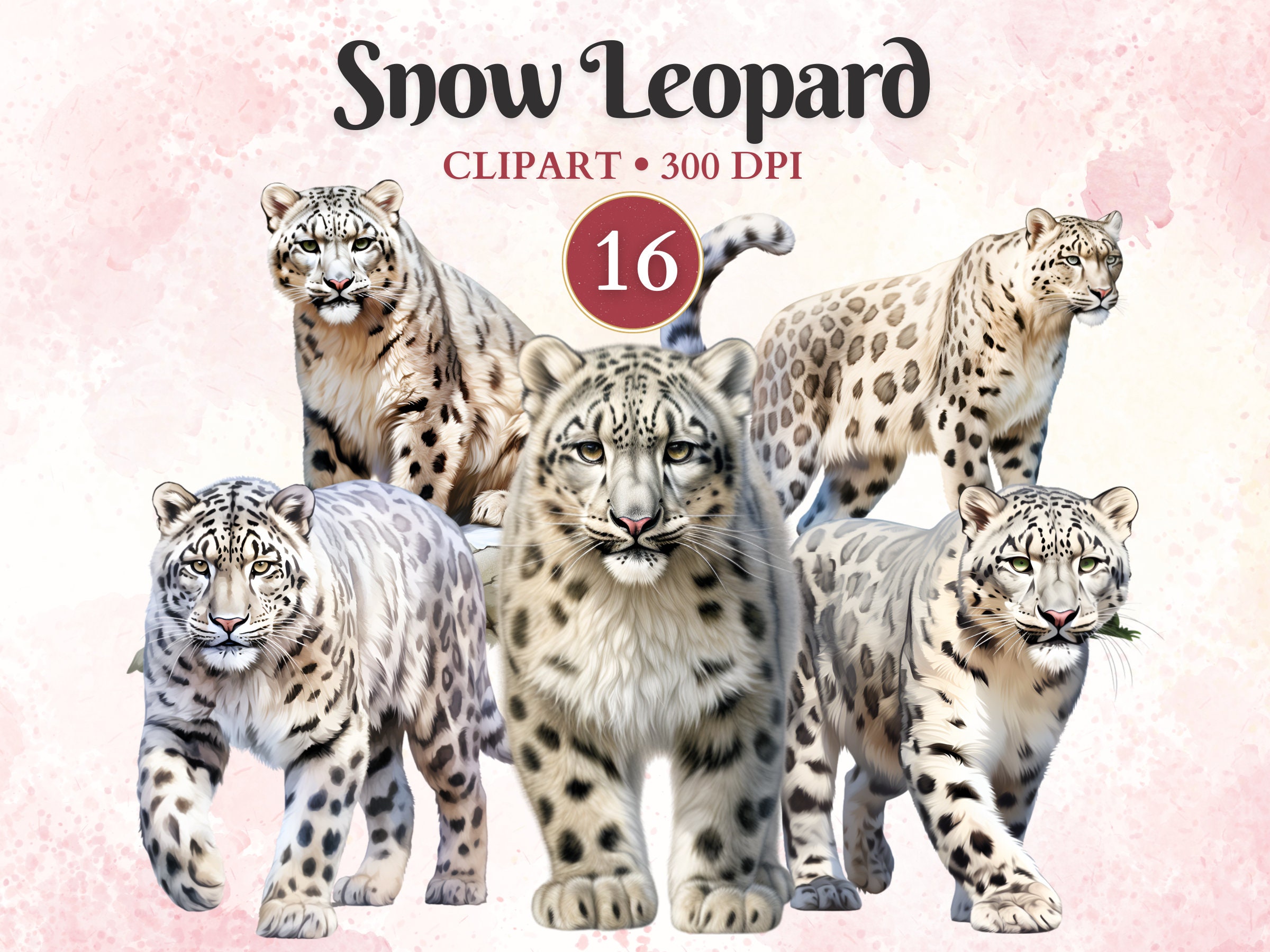 Snow Leopard Clipart Snow Leopard Artwork Winter Animals - Etsy
