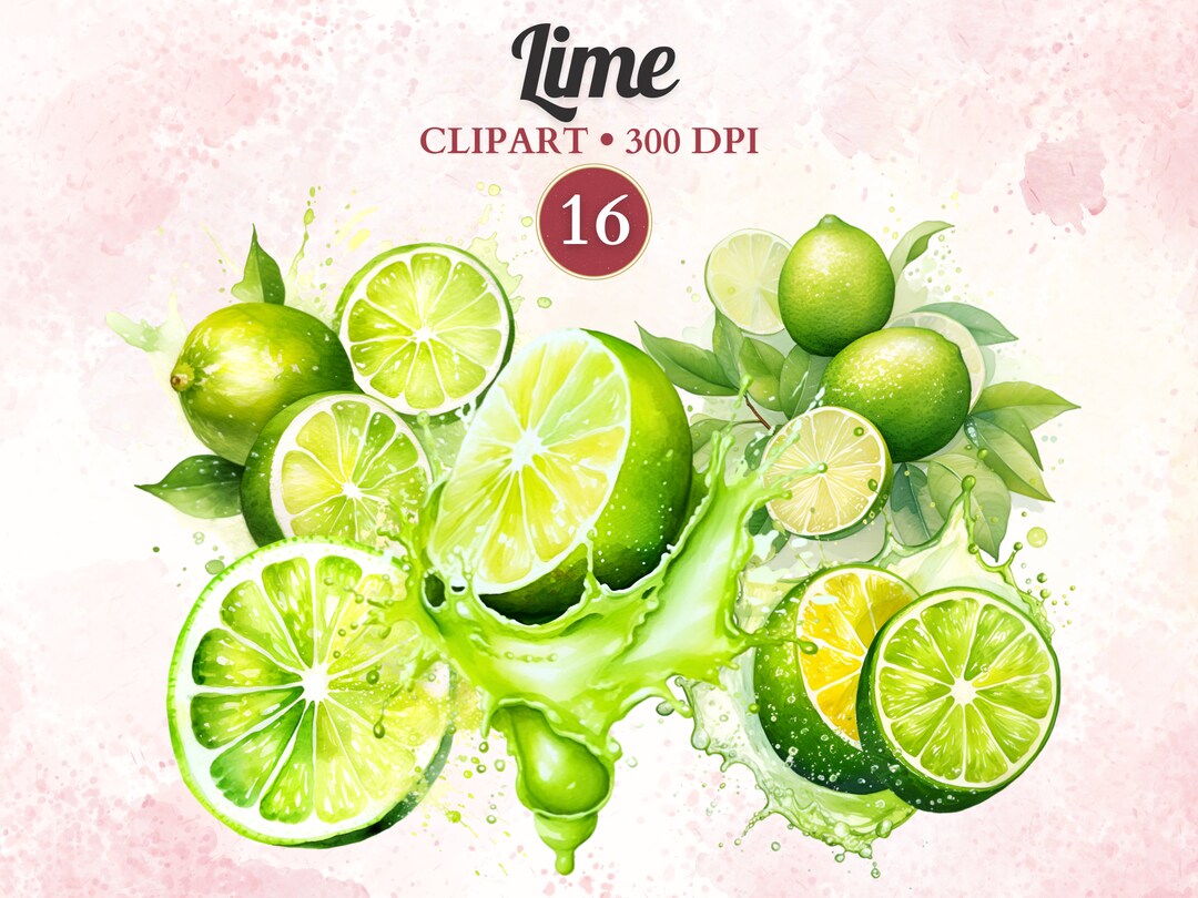 Lime Clipart, Lime Png, Watercolor Citrus, Citrus Image, Watercolor ...