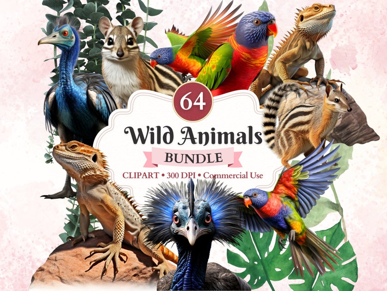 Wild Animals Clipart Bundle, Australian Wildlife, Cassowary, Numbat ...