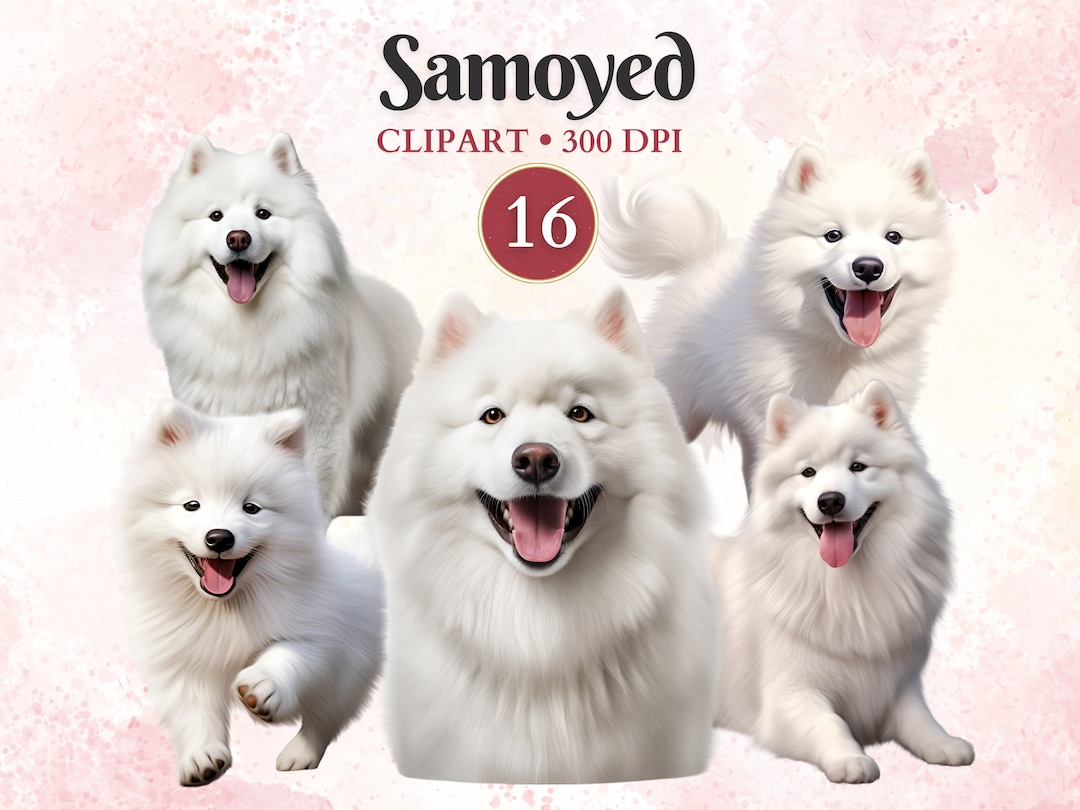 Samoyed Clipart, Samoyed Png, Dog Silhouette Clip Art, Pet Graphics ...
