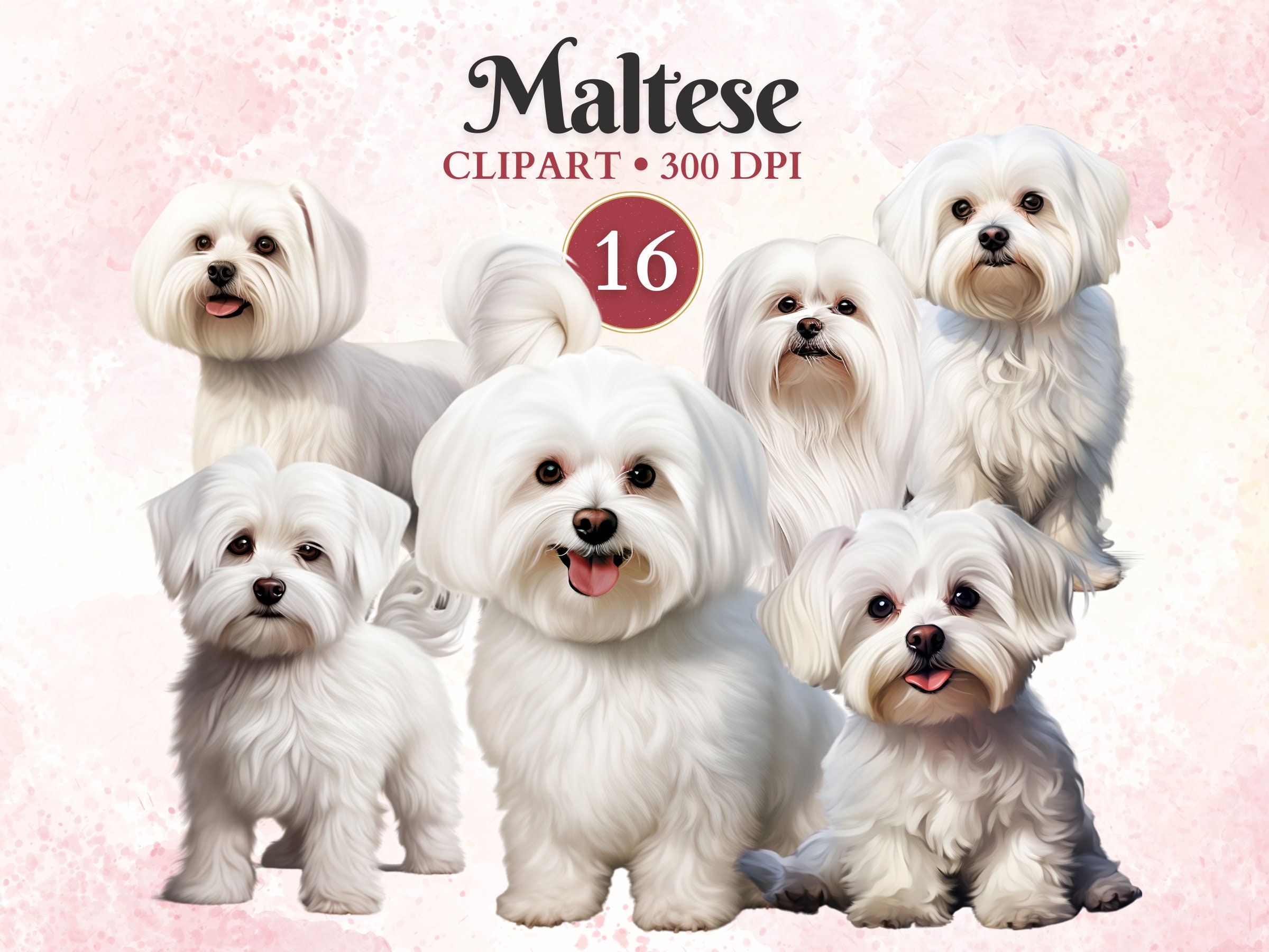 Maltese Clipart, Cute Maltese Digital Art, Pet Graphics, Dog Vector Art ...