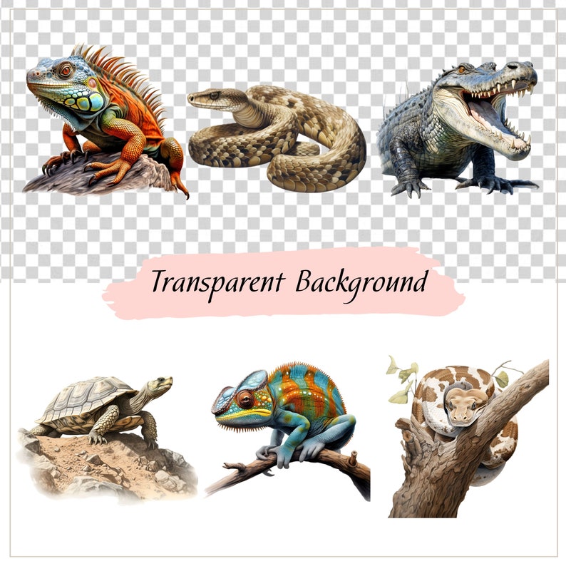 Reptiles Clipart Bundle, Snake Clipart, Snake Png, Serpent Silhouette ...