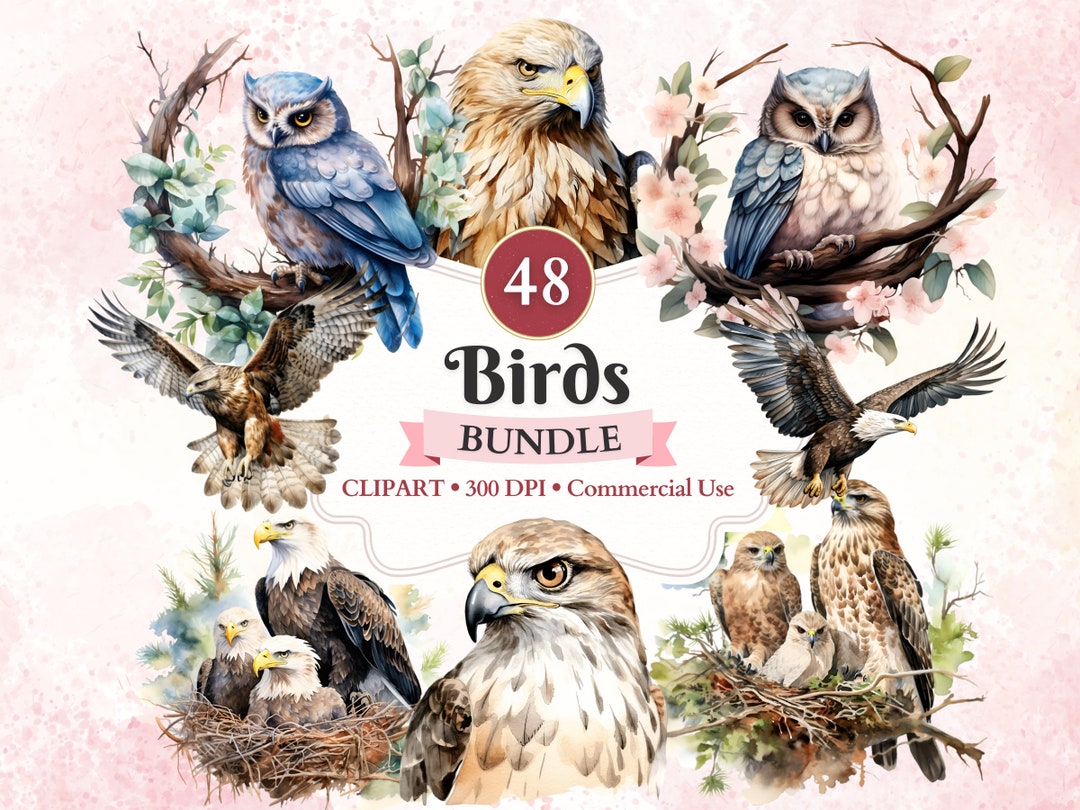 Birds Clipart Bundle, Bird Png, Bird Silhouette, Bird Vector, Nature ...