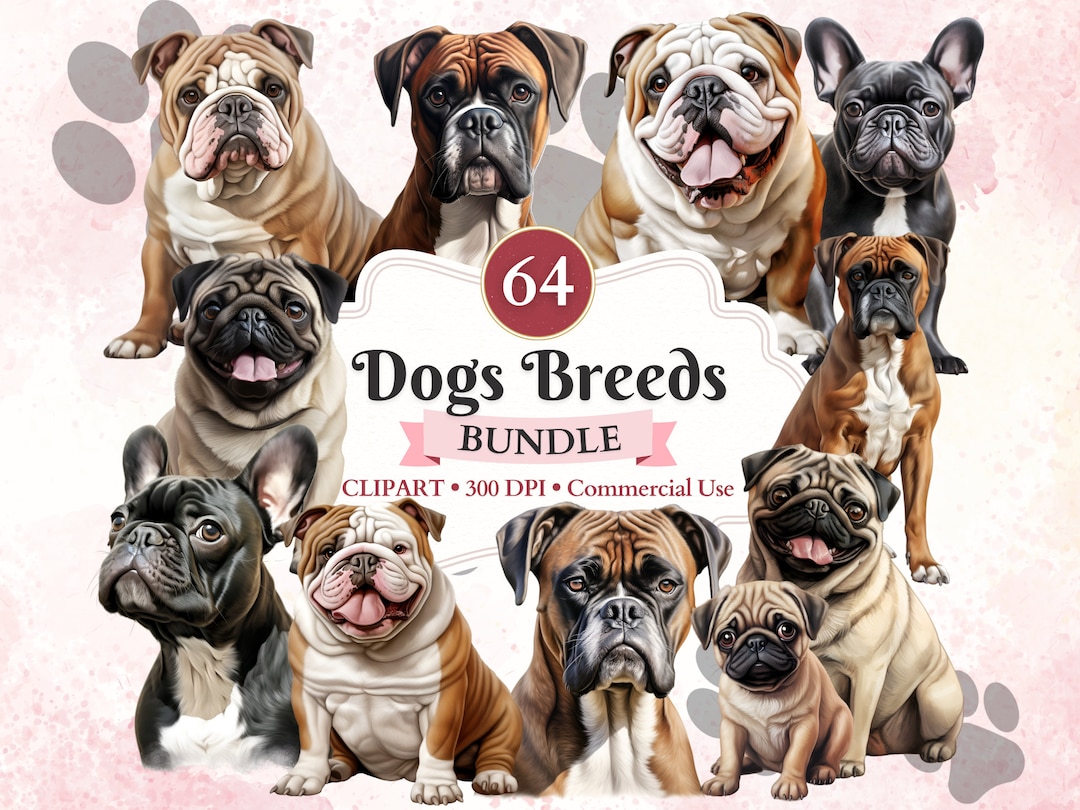 Dogs Breeds Clipart Bundle, English Bulldog Png, Frenchie Png, Boxer ...