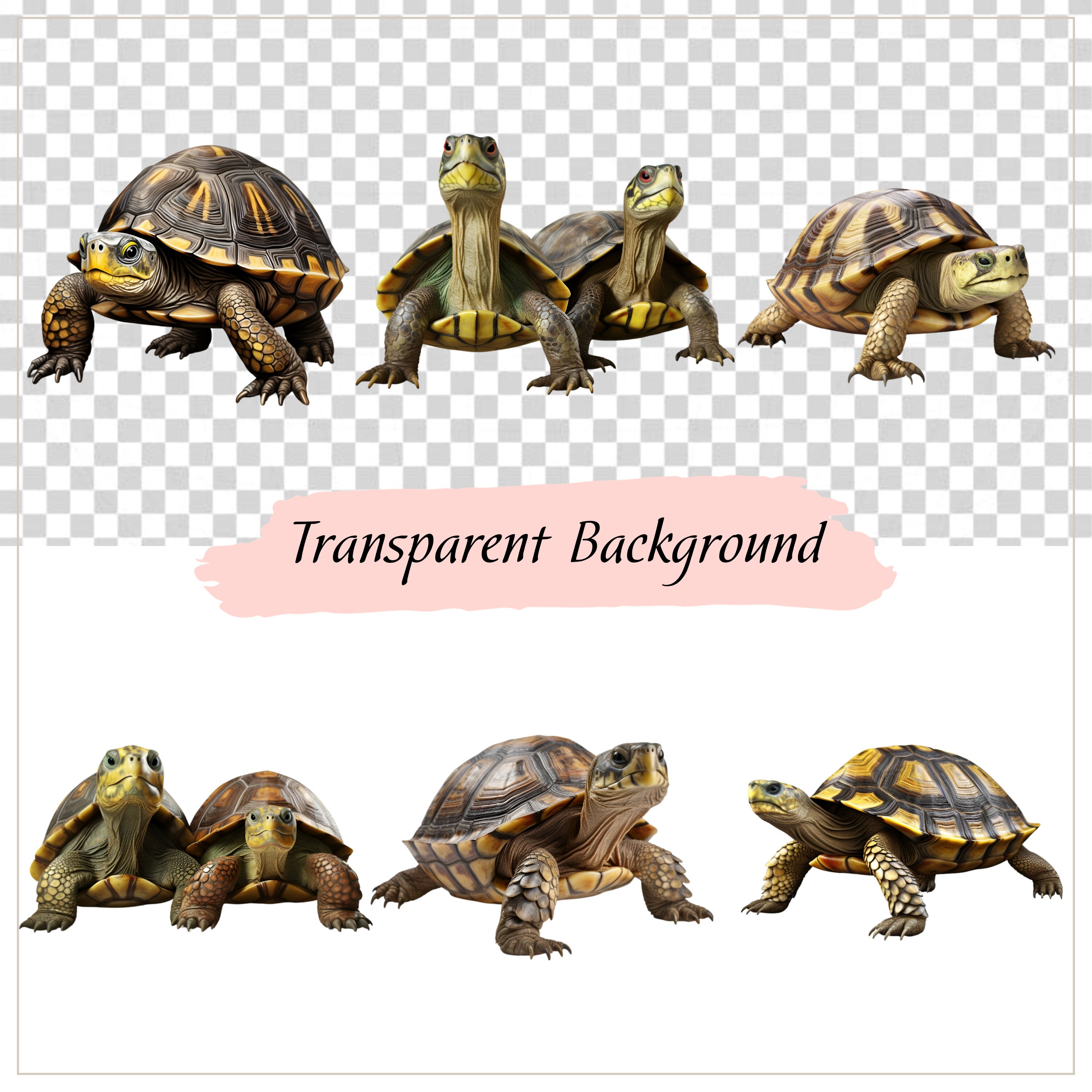 Cute Turtle Clipart, Adorable Turtle Graphics, Tortoise Clipart ...