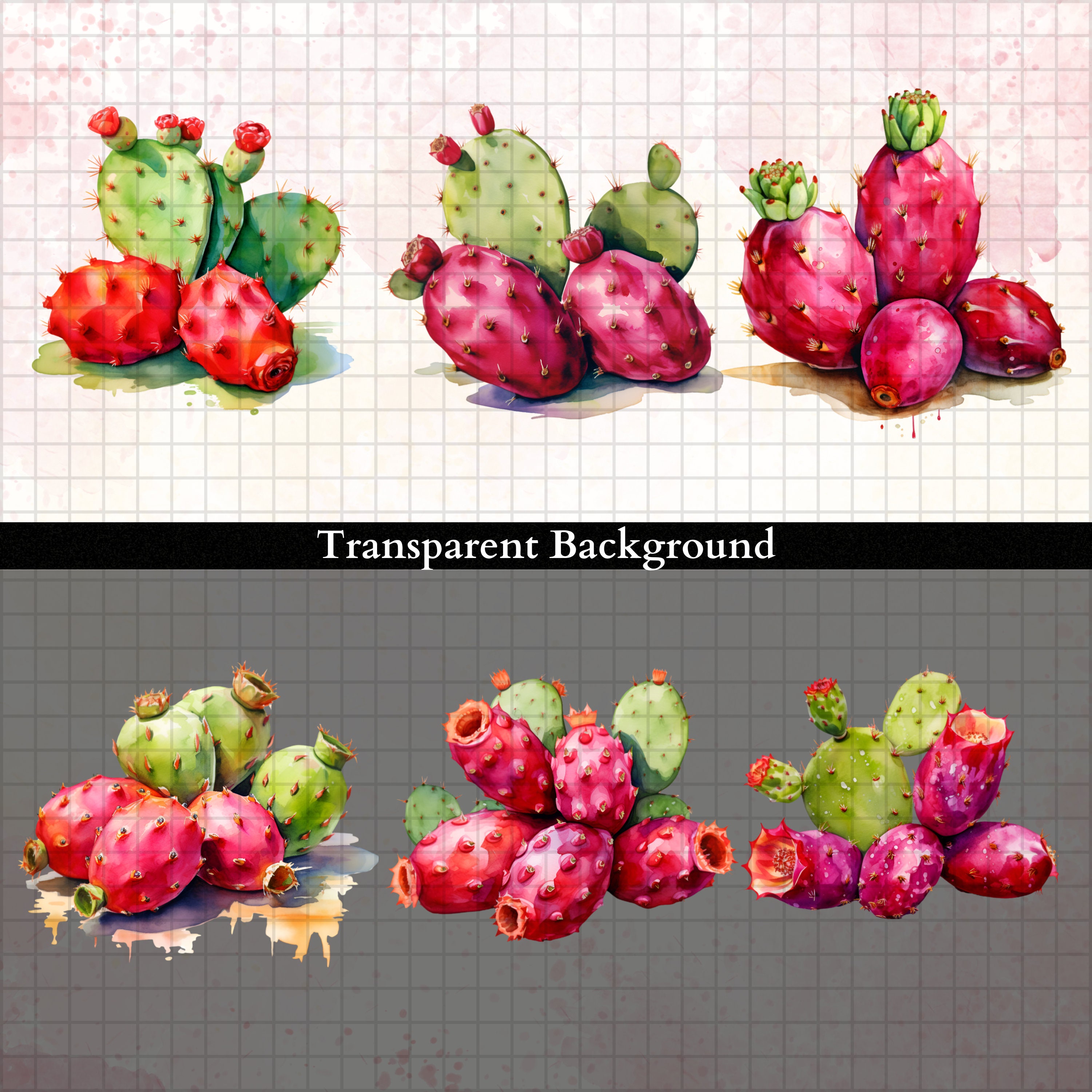 Prickly Pear Clipart, Succulent, Cactus, Watercolor Fruit, Healthy Food ...
