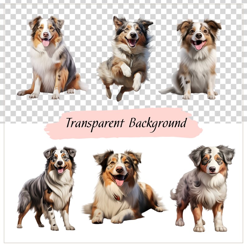 Australian Shepherd Clipart, Shepherd Silhouette, Aussie Dog, Pet ...