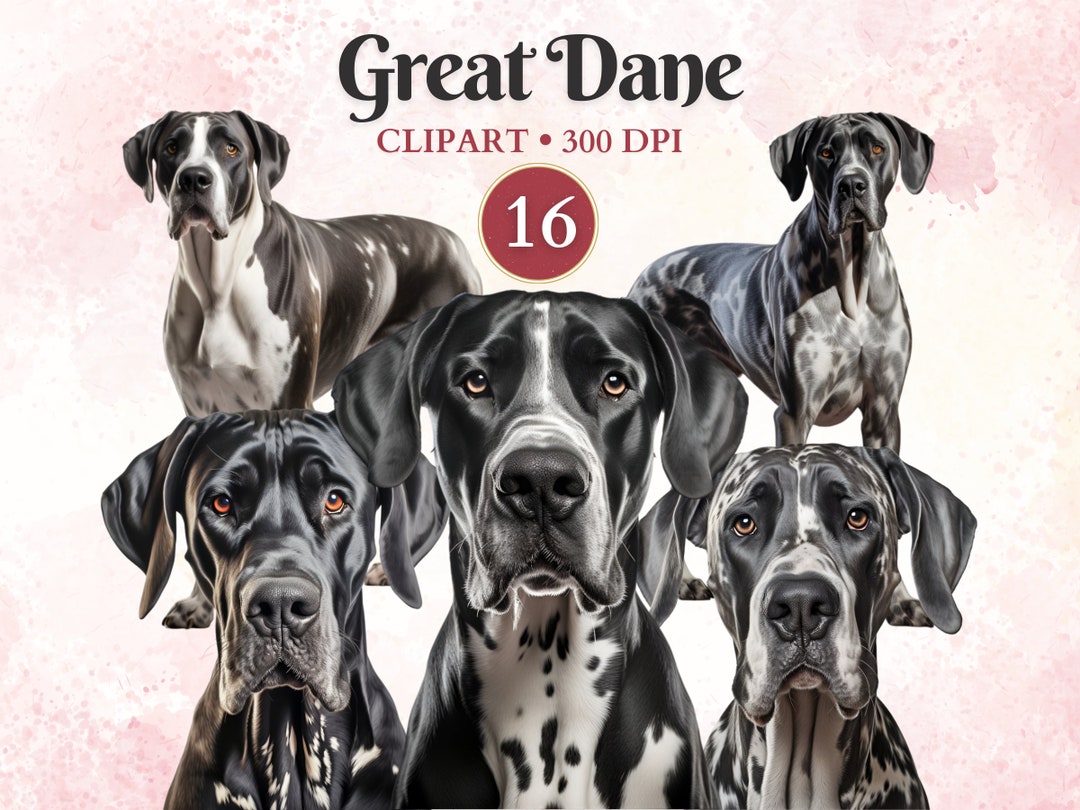 Great Dane Clipart, Great Dane Vector, Canine Clipart, Dog Silhouette ...
