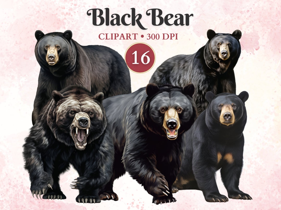 Black Bear Clipart, Wild Animals, Black Bear Png, Wildlife Clipart ...