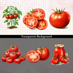 Tomato Clipart, Watercolor, Vegetables Png, Healthy Food, Veggie, Vegan ...