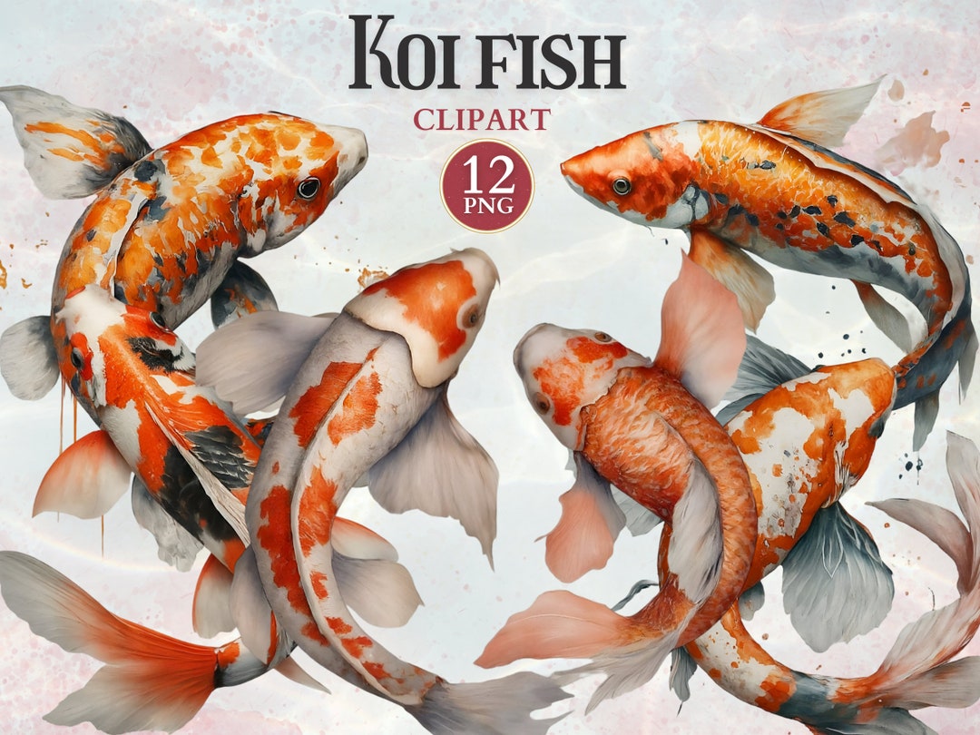 Koi Fish Clipart, Japanese Koi Fish, Japanese Koi, Fishing Clipart ...