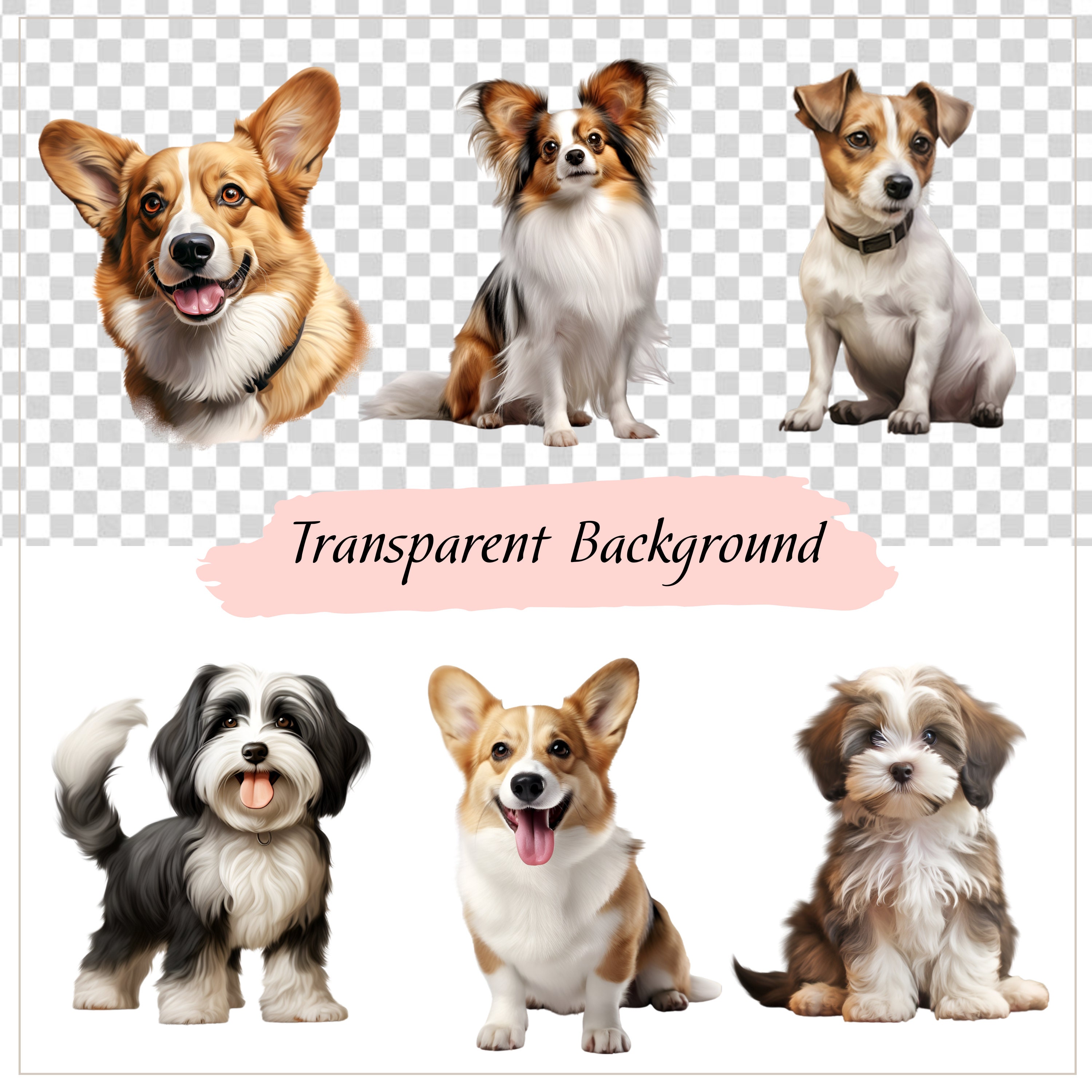 Dogs Breeds Clipart Bundle, Welsh Corgi, Papillon, Jack Russell Terrier ...