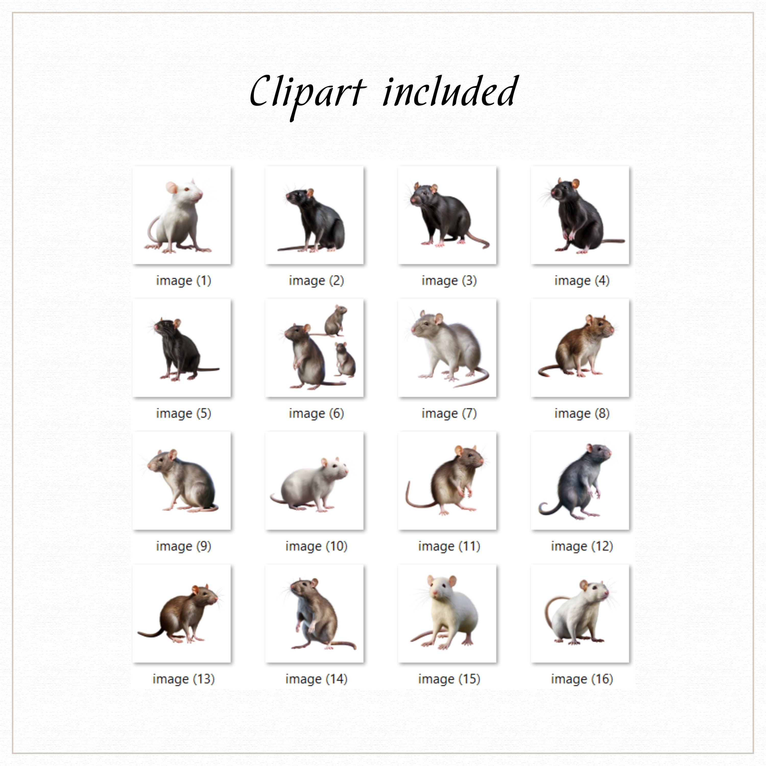 Rat Clipart, Rat Vector, Domestic Animals, Rodent Clipart, Rodent ...