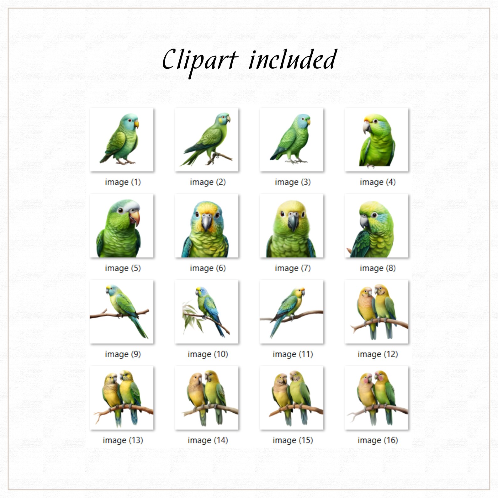 Parakeet Clipart, Parakeet Art, Parrot Vector, Bird Png, Parrot Png ...