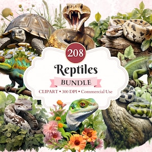 Reptiles Clipart Bundle, Snake Clipart, Snake Png, Serpent Silhouette ...