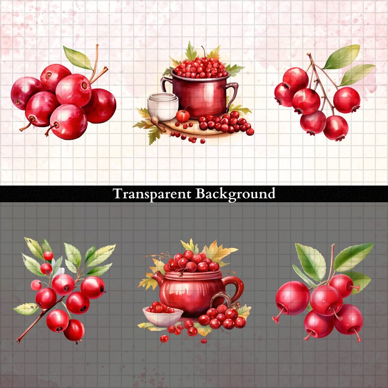 Cranberry Clipart Berries Image Thanksgiving Dinner - Etsy