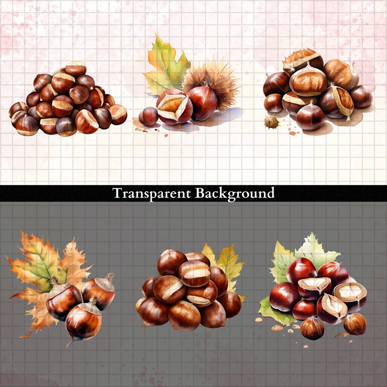Chestnut Clipart, Fall Leaf, Nuts Png, Nut Illustration, Healthy Food ...